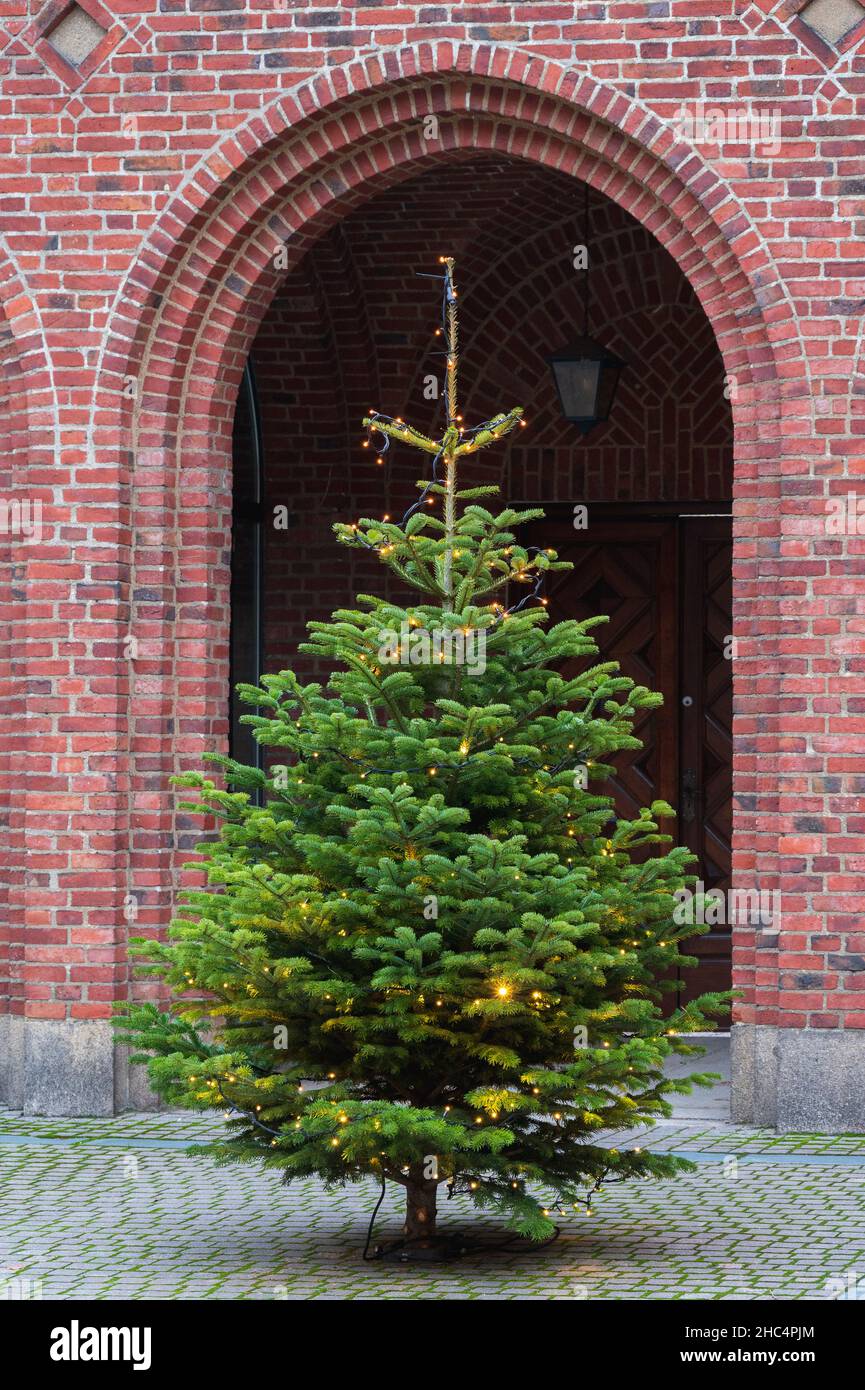 A simple christmas tree decorated with ligths only agains a red brick ...