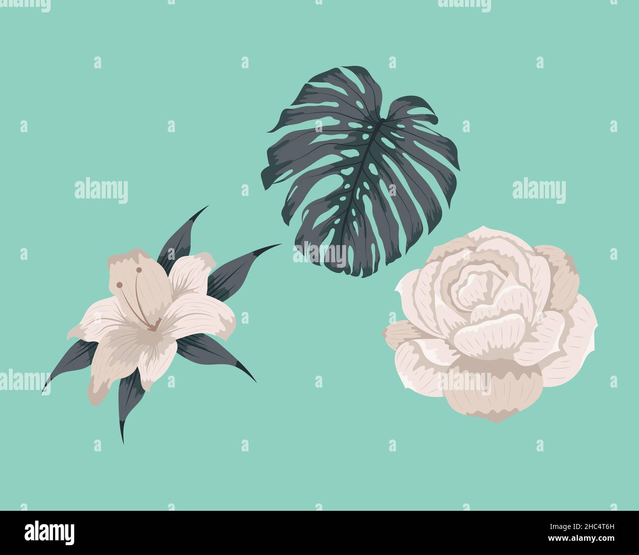 elegant leaves and flowers icons Stock Vector Image & Art - Alamy