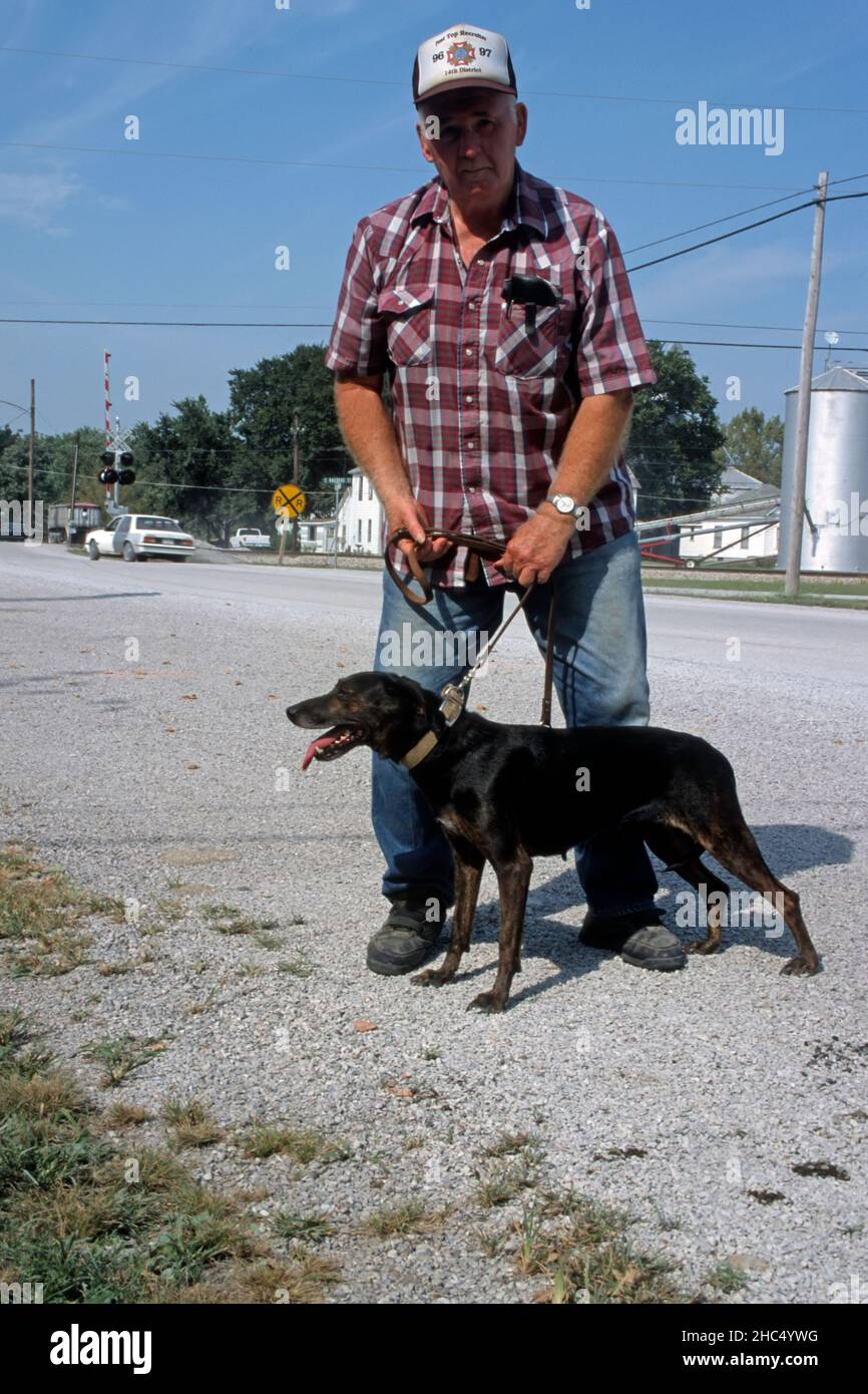 Treeing Tennessee brindle at a railroad crossing in Missouri Stock ...