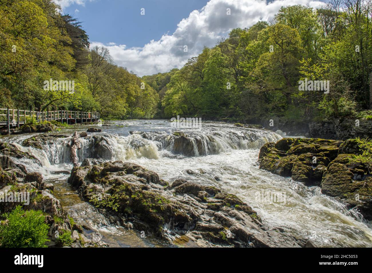 Cenarth falls hi-res stock photography and images - Alamy