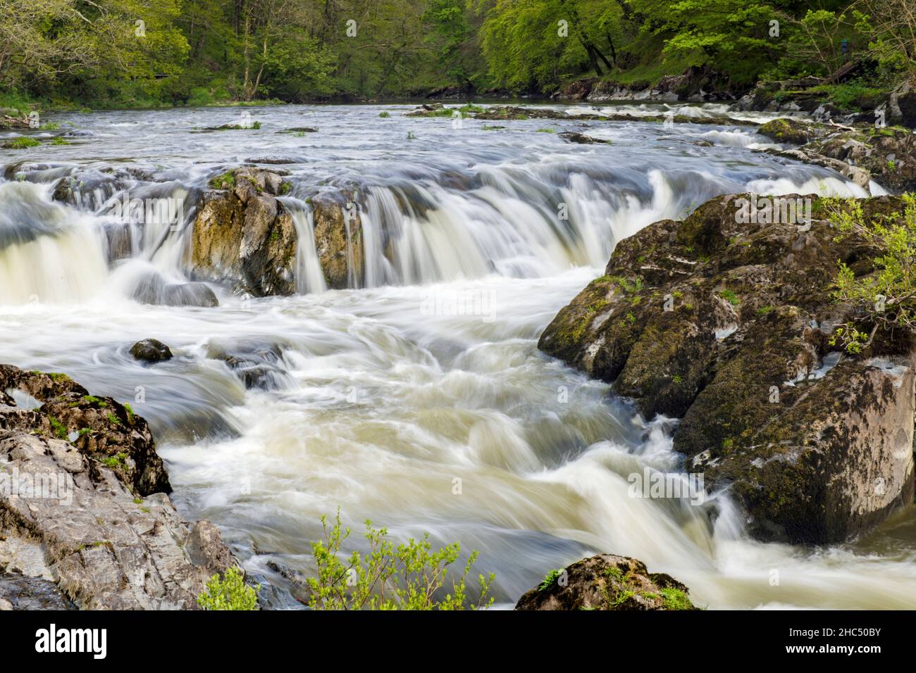 Cenarth falls hi-res stock photography and images - Alamy