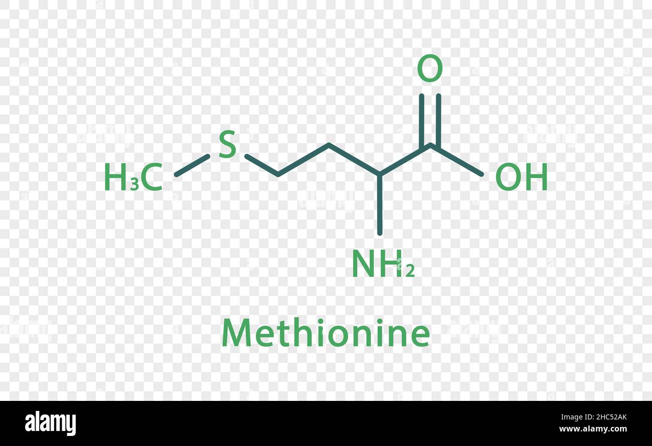 Methionine chemical formula. Methionine structural chemical formula ...