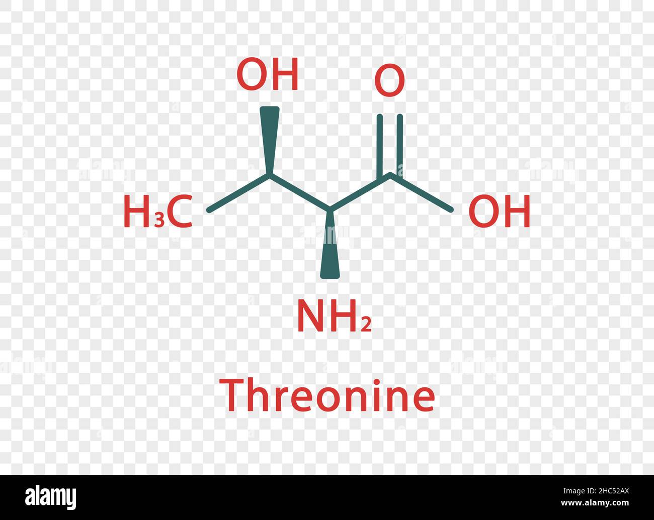 Threonine molecular hi-res stock photography and images - Alamy