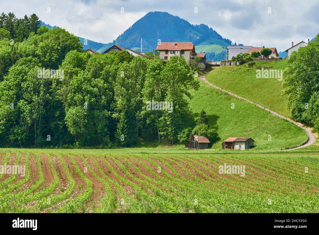 Swiss rural view hi-res stock photography and images - Alamy