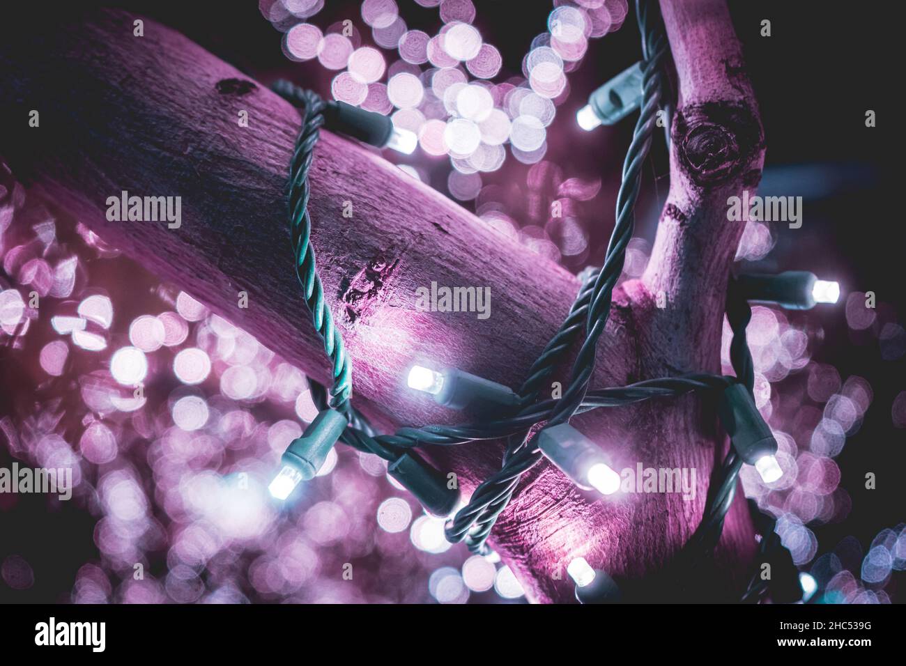 Night Christmas lights on the tree. Bright illumination Stock Photo - Alamy