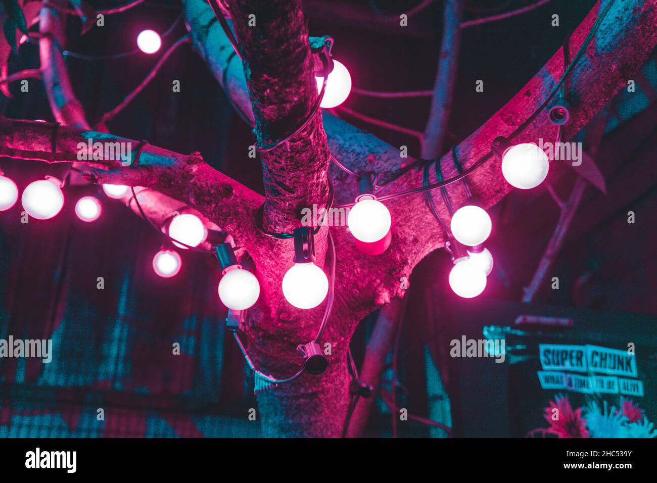 Night lights on the tree. Bright illumination Stock Photo - Alamy