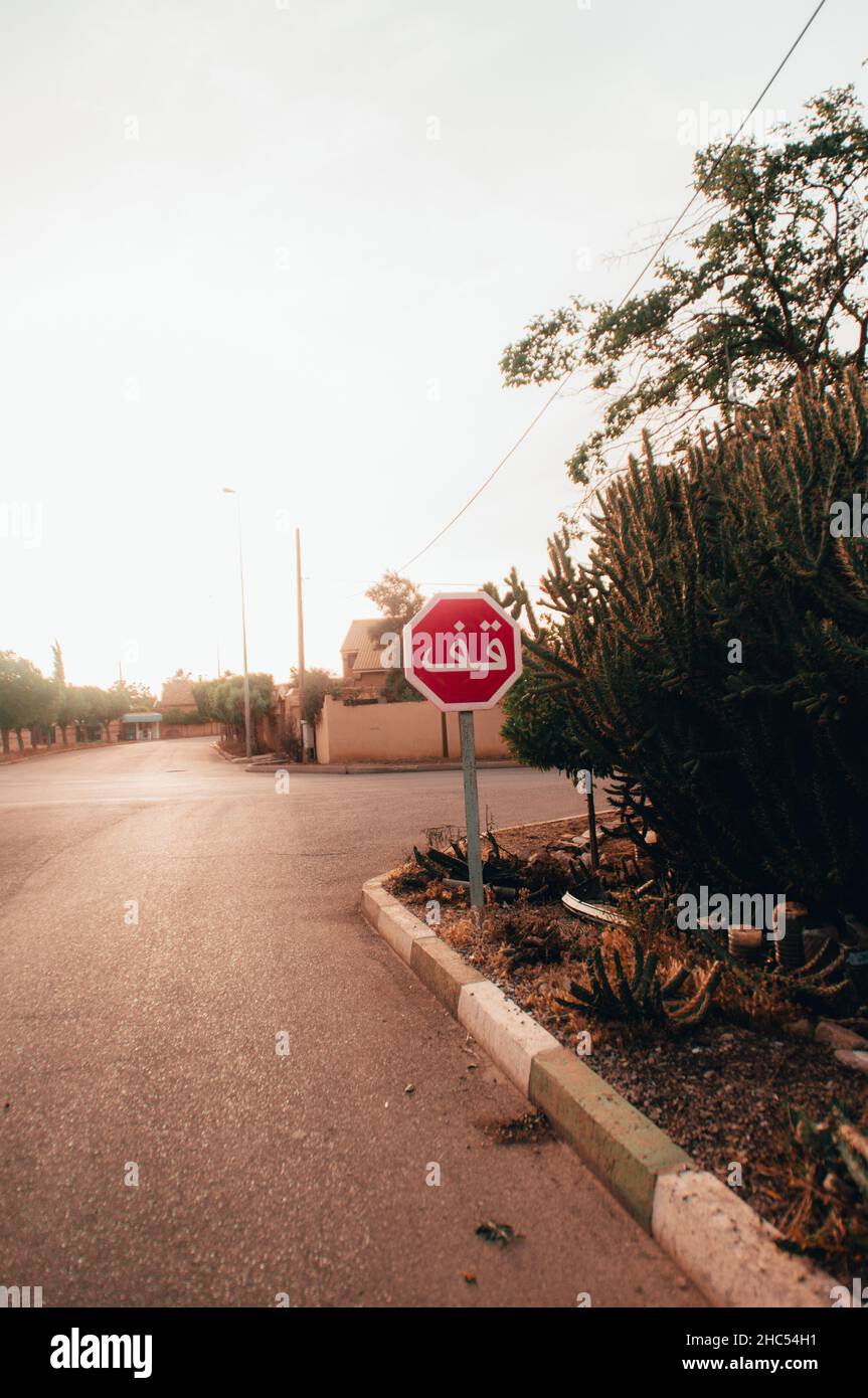 Stop sign sky trees hi-res stock photography and images - Alamy
