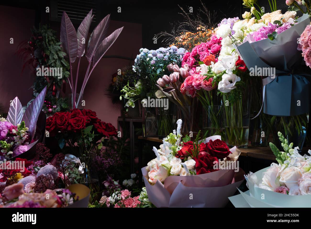 Beautiful hydrangea flowers showcase hi-res stock photography and ...