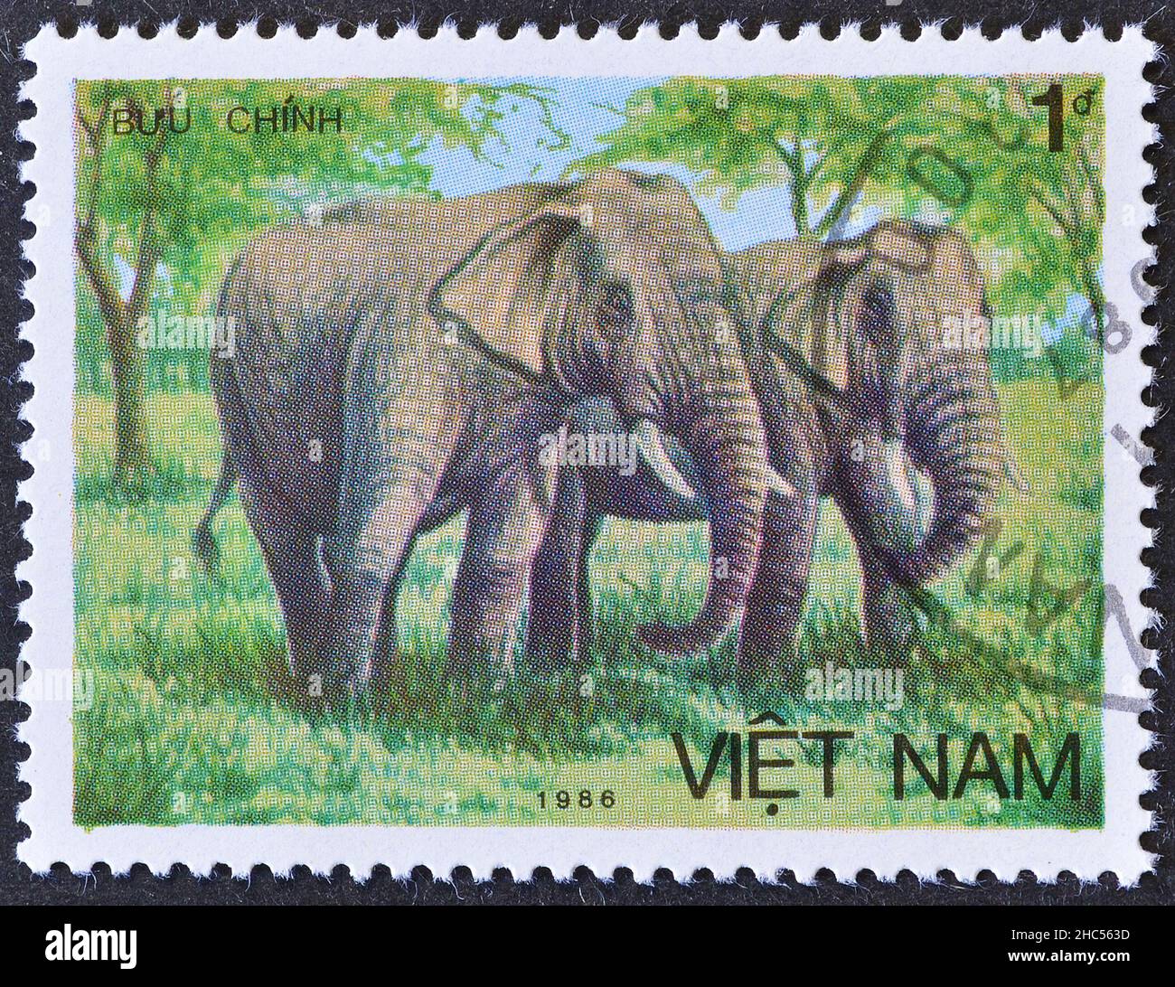 Cancelled postage stamp printed by Vietnam, that shows Asian Elephant ...