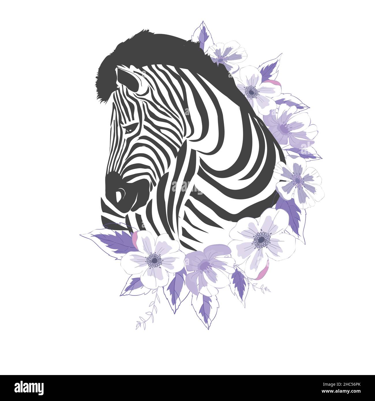 Zebra label hi-res stock photography and images - Alamy