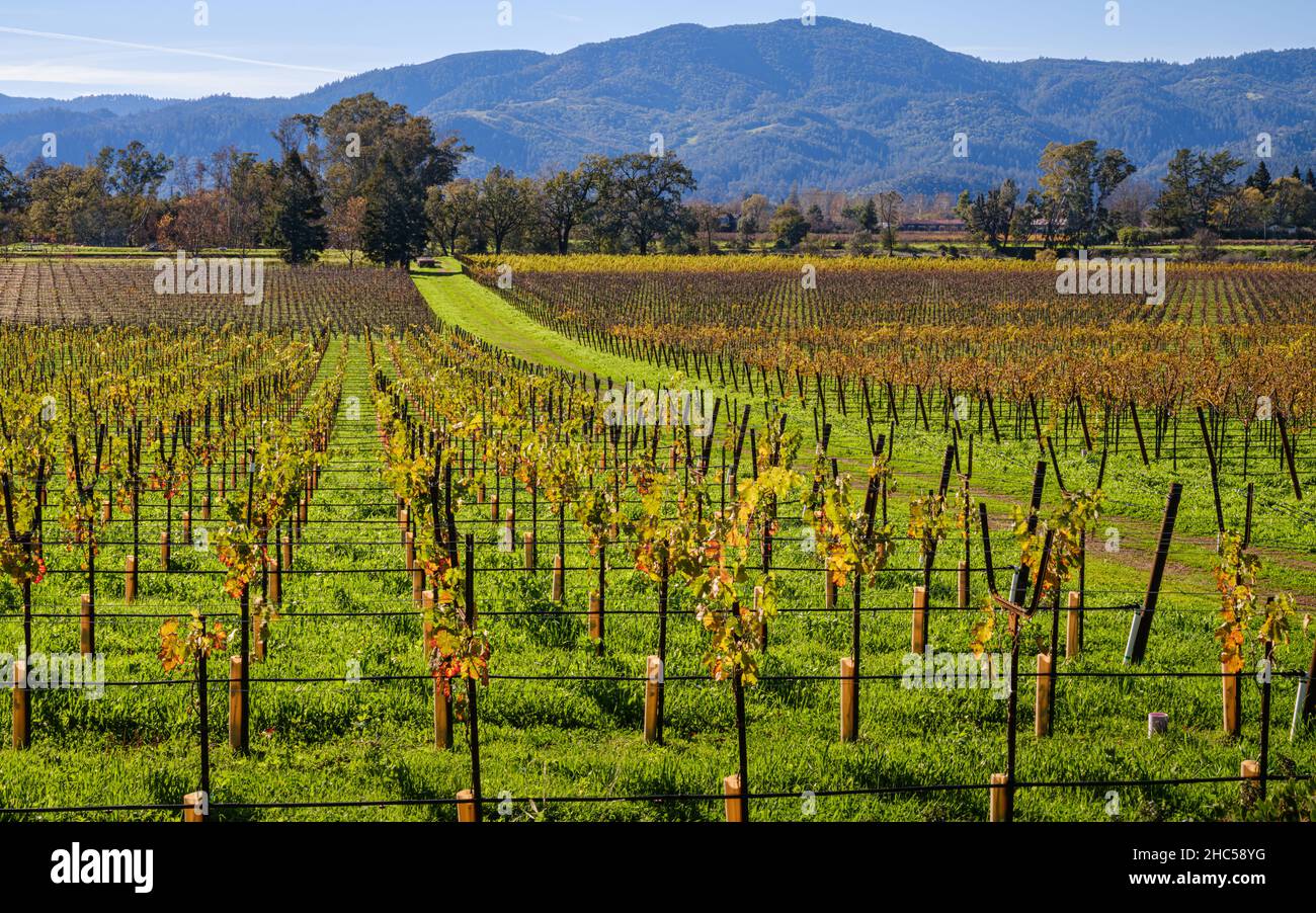 Napa landscape hi-res stock photography and images - Alamy