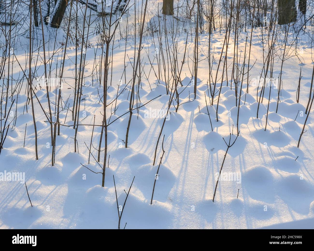 A neglected park that used to be fun and crowded Stock Photo - Alamy