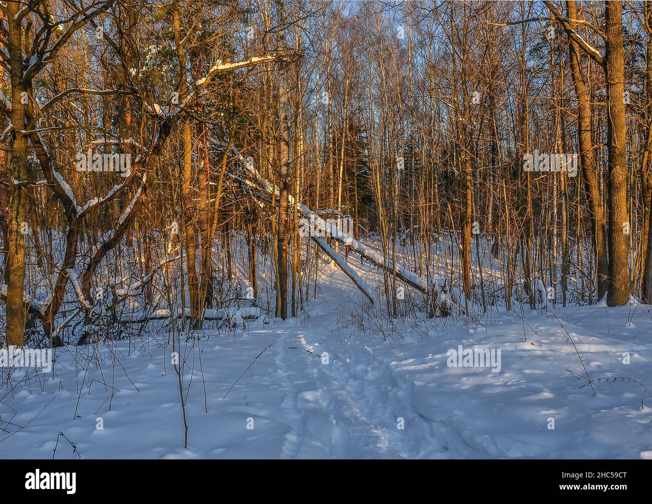 A neglected park that used to be fun and crowded Stock Photo - Alamy