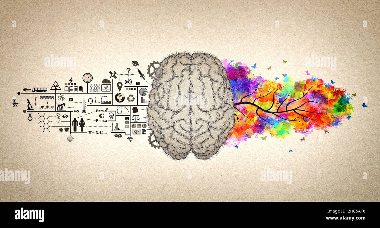 Brain Functions - Left Brain and Right Brain Conceptual Illustration ...