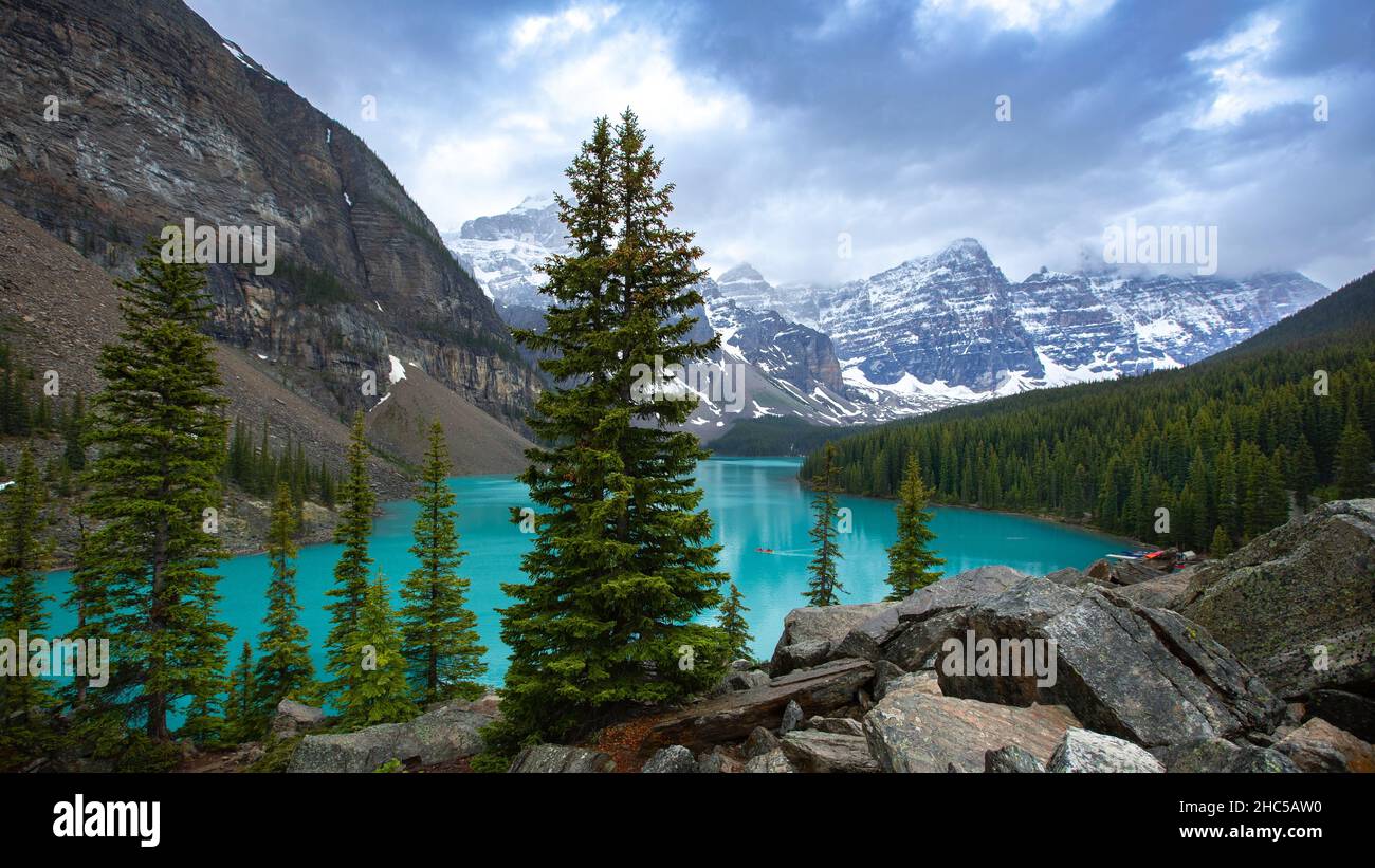 Beautiful view of Moraine Lake surrounded by mountains and pine trees ...