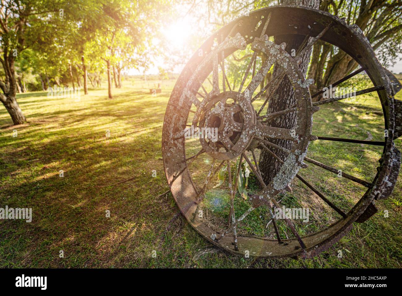 Closeup shot of an old rusty wheel in a forest during the day Stock ...