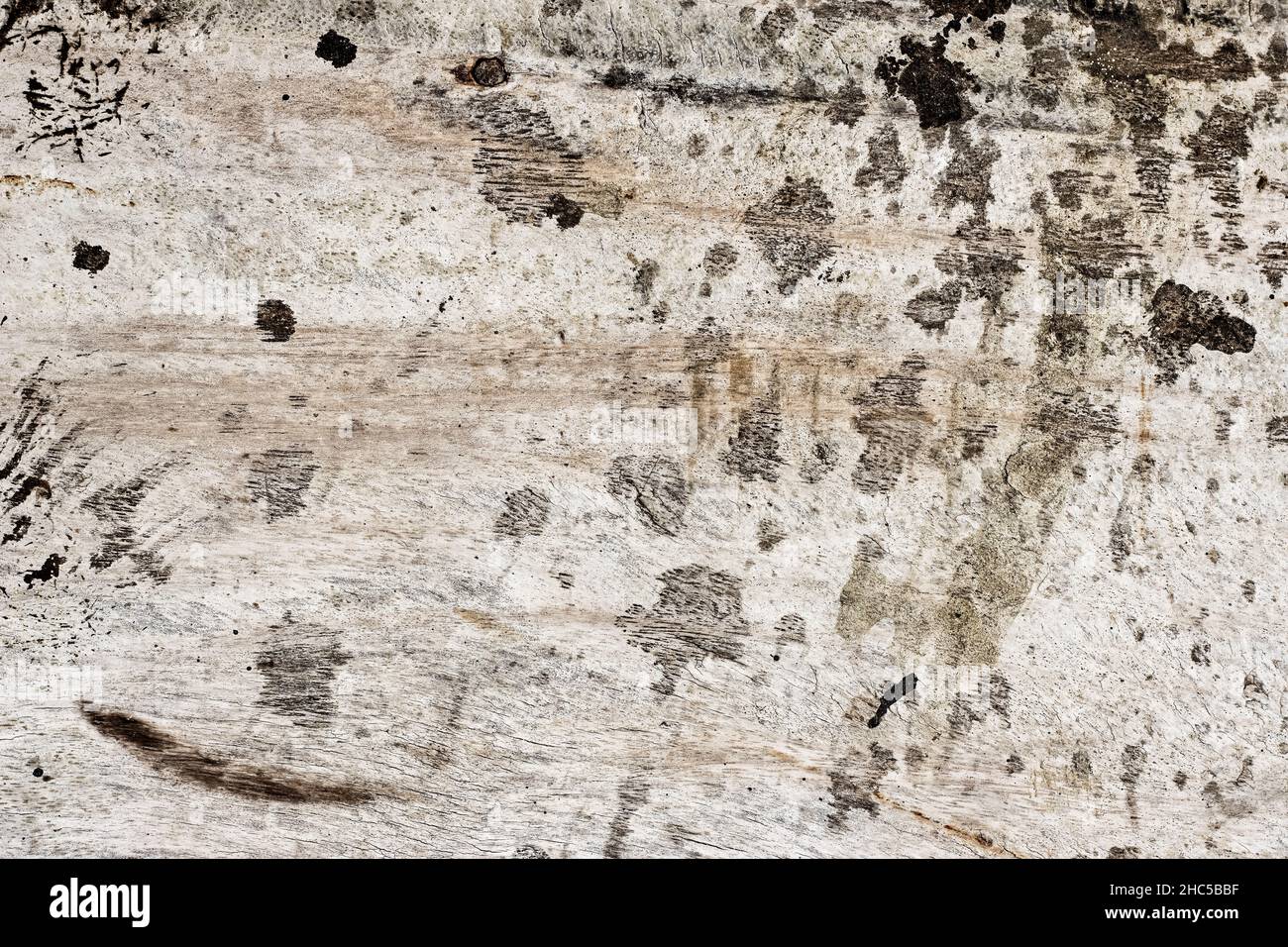 Top view of old wooden plank with scattered black spots for texture ...