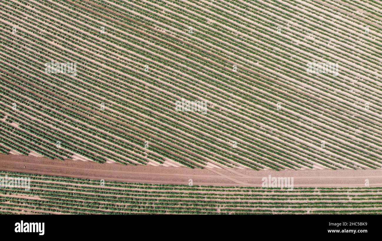 Aerial view of a road amid striped fields - agriculture Stock Photo - Alamy