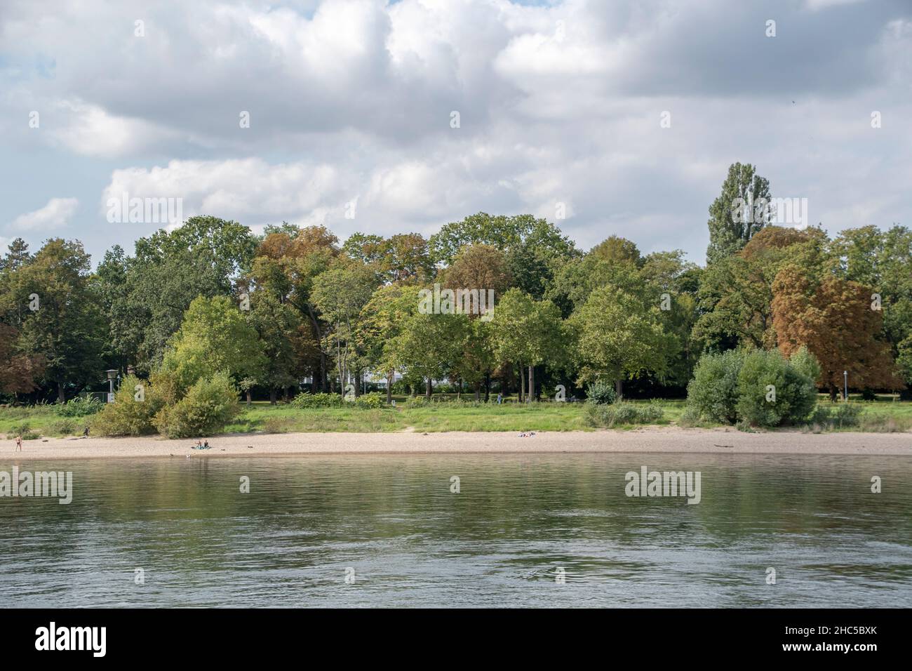 Landscape of trees along the Rhein river in Mannheim Stock Photo - Alamy