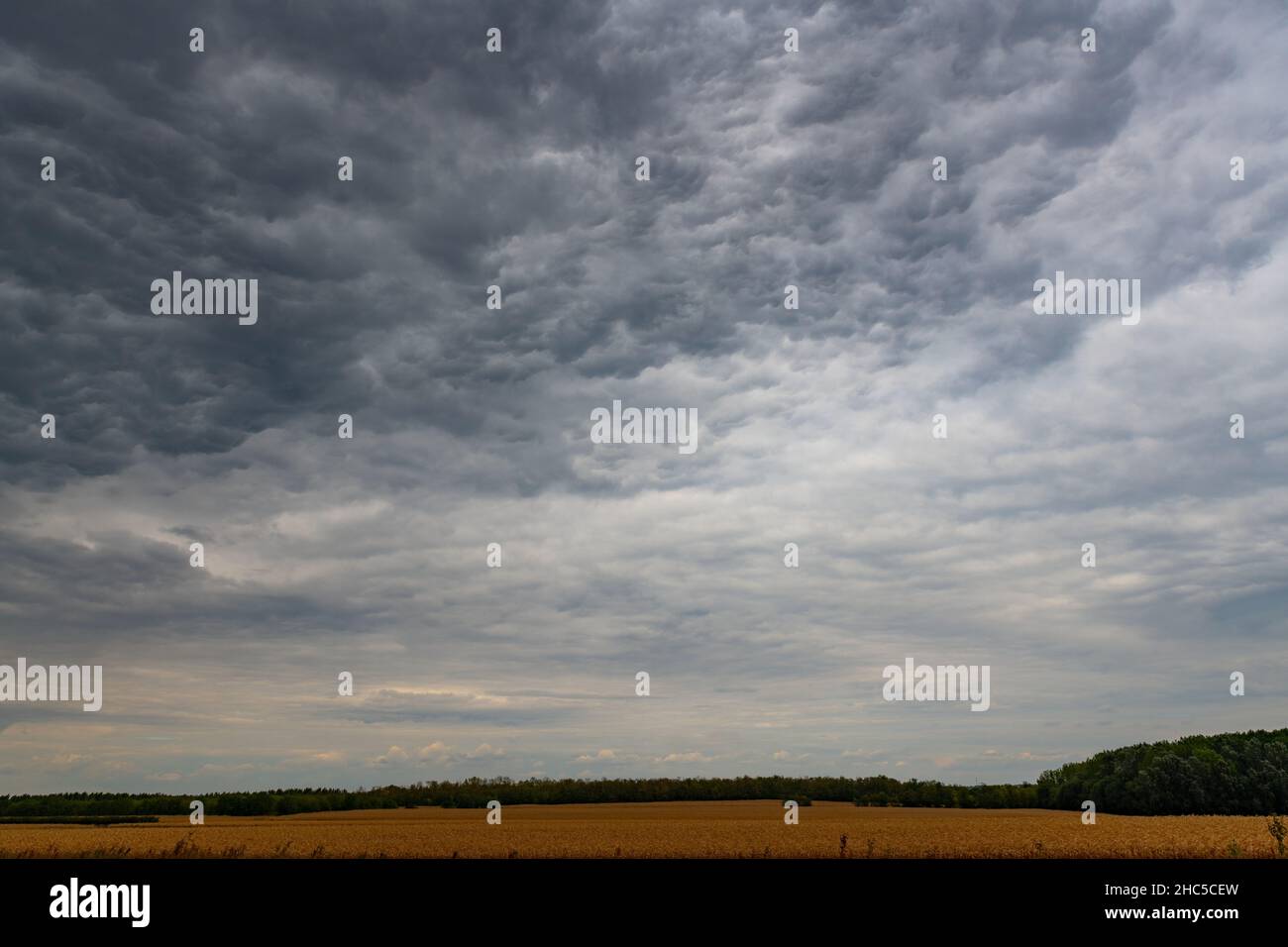 Storm clouds above field hi-res stock photography and images - Alamy