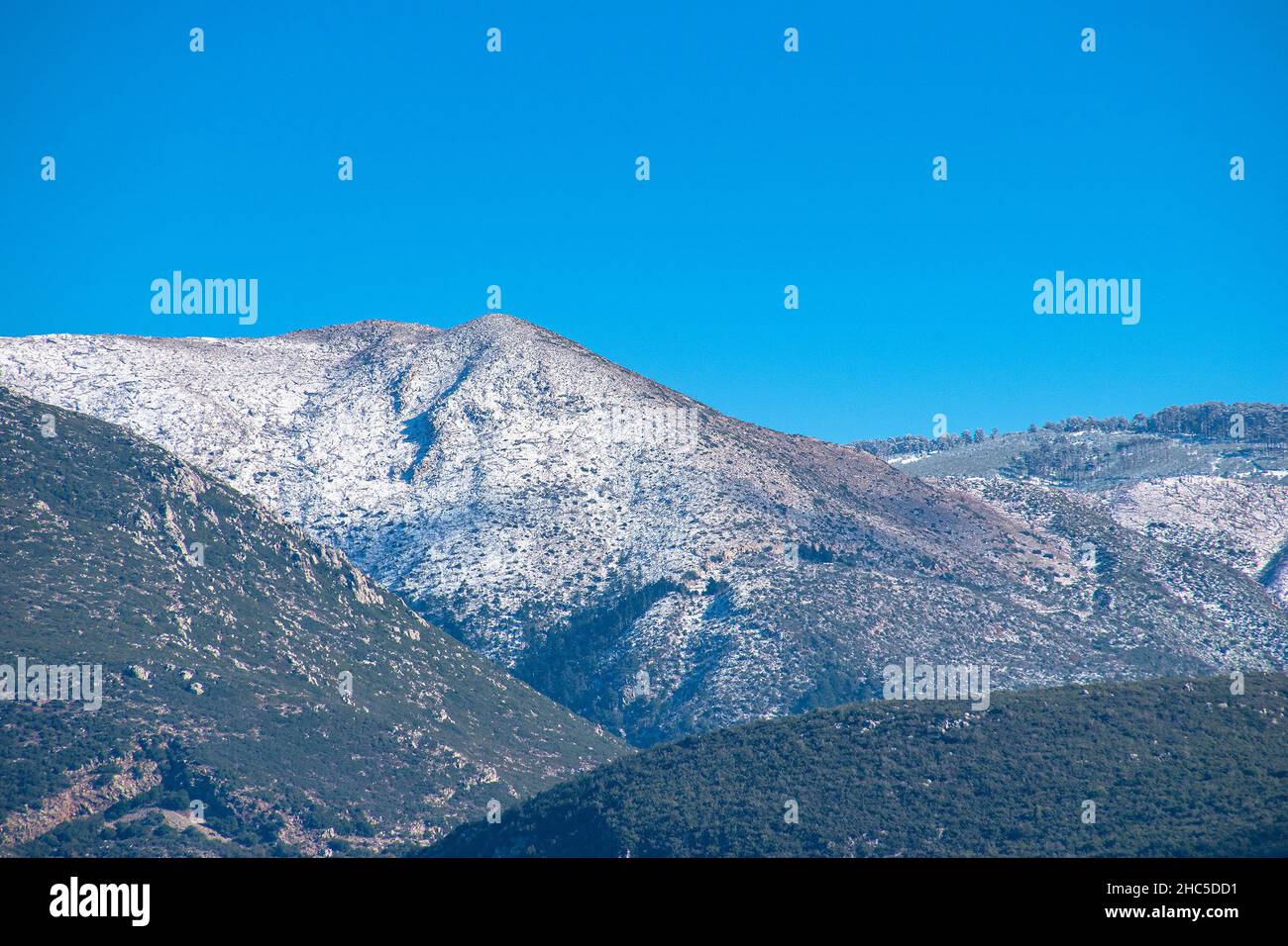 Scenic view of snowy forest in Taygetus mountain (also known as ...