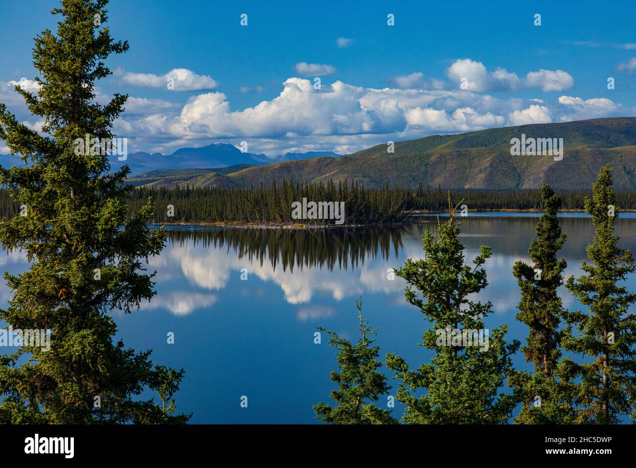 Tetlin national wildlife refuge hi-res stock photography and images - Alamy