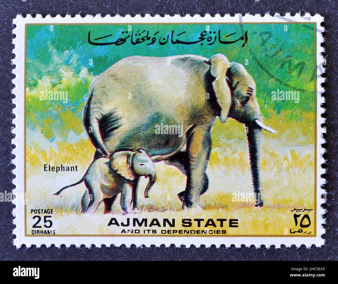 Cancelled postage stamp printed by Ajman State, that shows Elephant ...