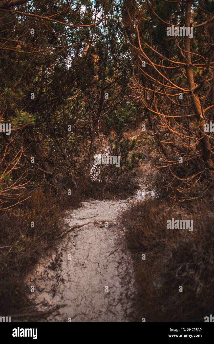 Narrow vertical line hi-res stock photography and images - Alamy