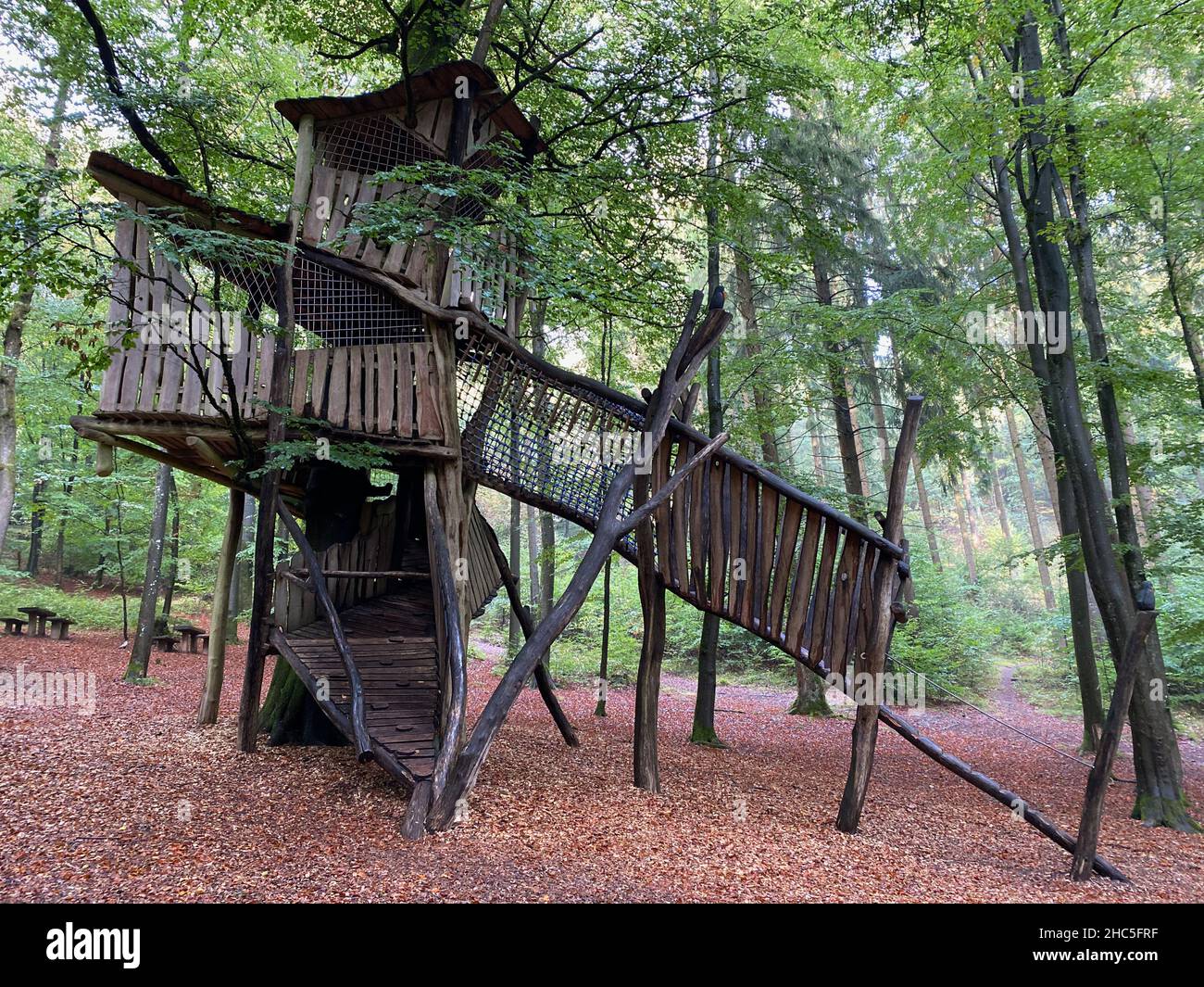 Wooden treehouse in a forest Stock Photo - Alamy