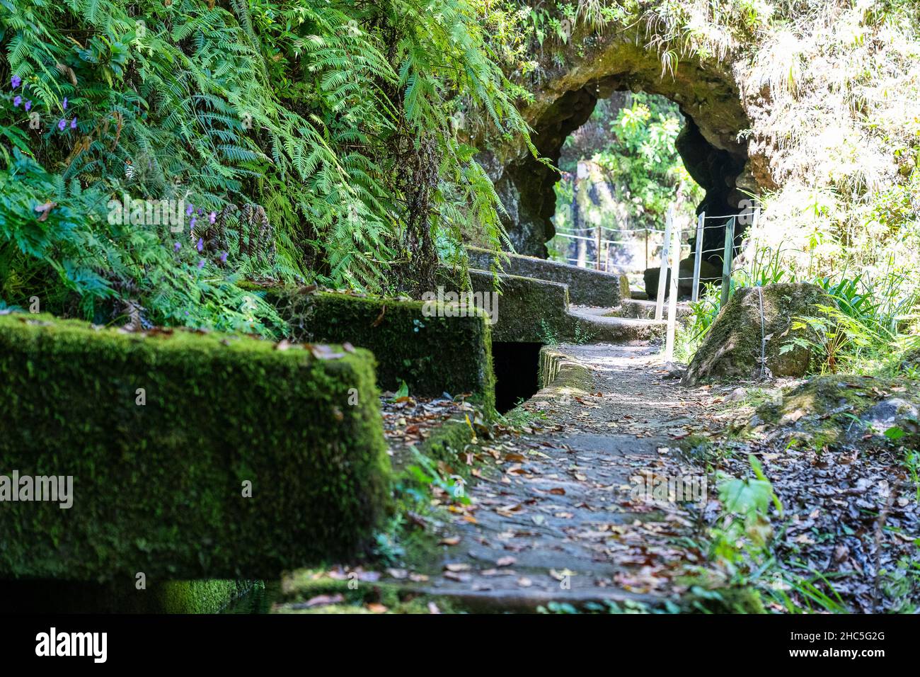 The path by caminho do pinaculo e folhadal levada in Madeira island ...