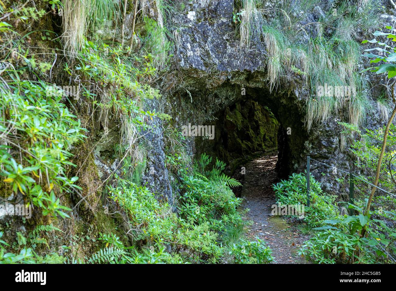 The path by caminho do pinaculo e folhadal levada in Madeira island ...