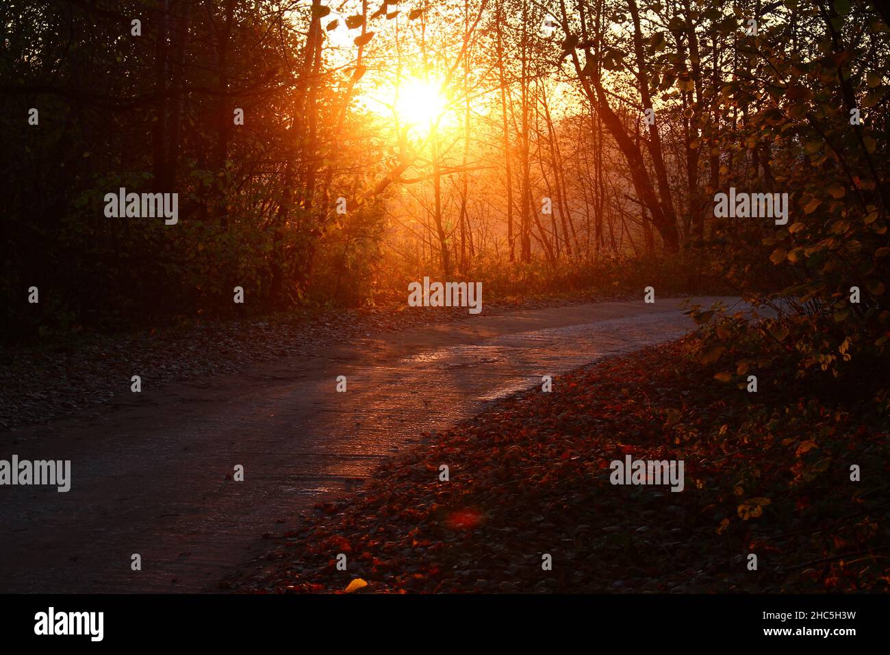 Bend light rays hi-res stock photography and images - Alamy