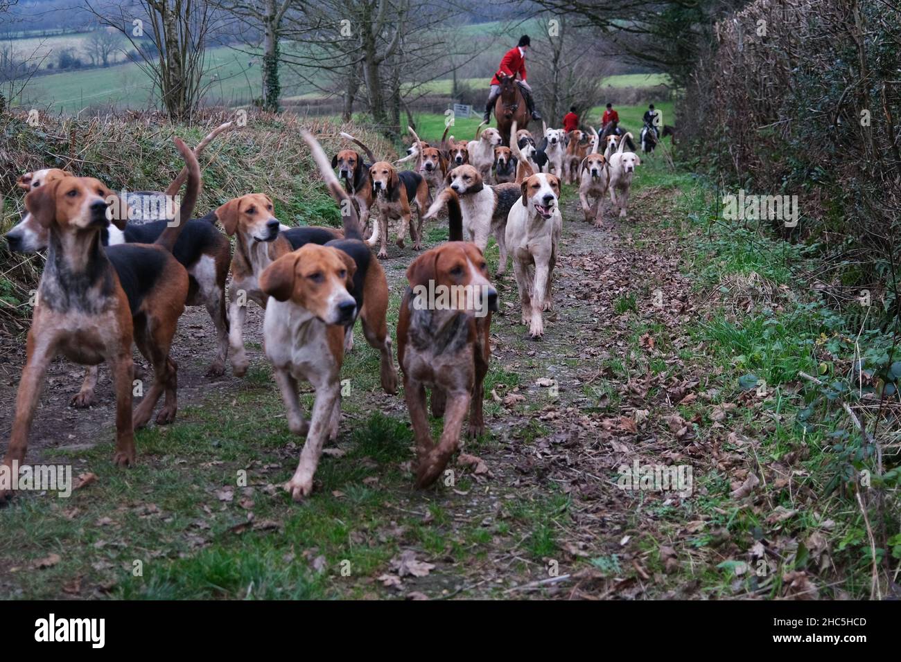 Riding to the hounds hi-res stock photography and images - Alamy