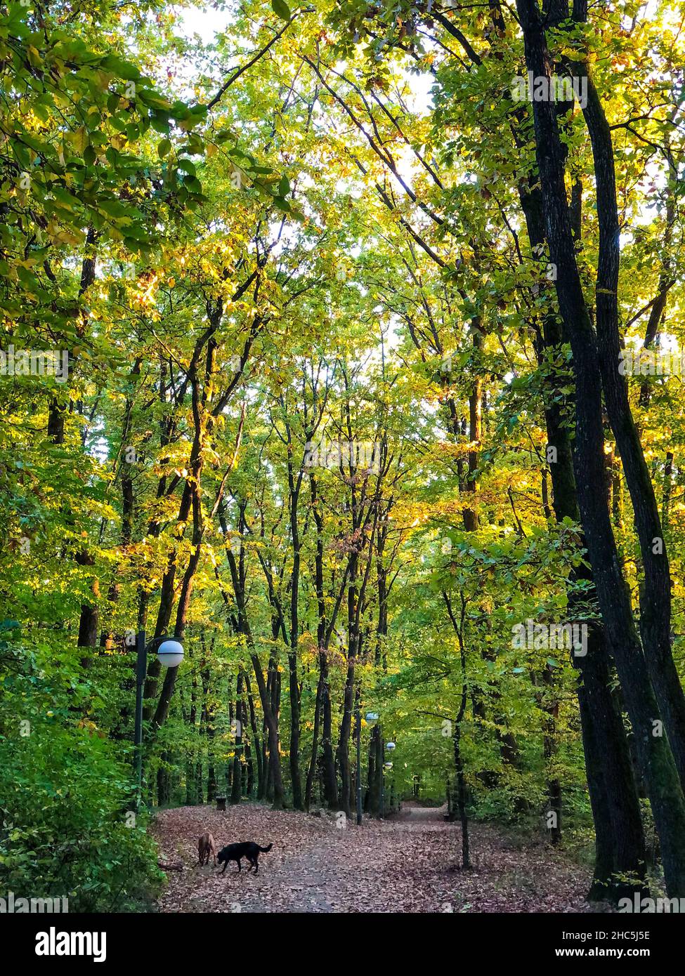 Vertical shot beautiful spring hi-res stock photography and images - Alamy