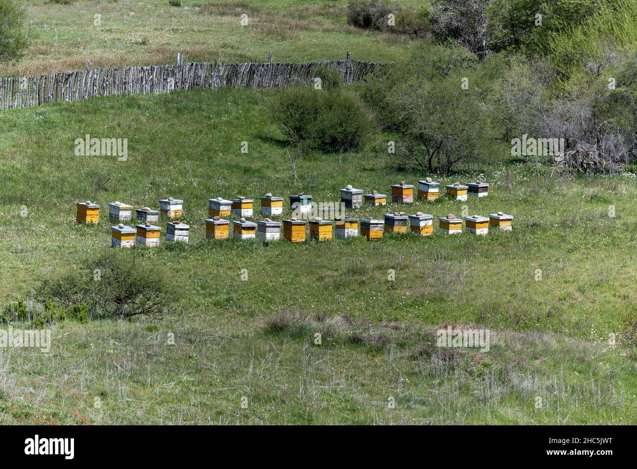 Bee hives on mountain in Patagonia Argentina Stock Photo - Alamy