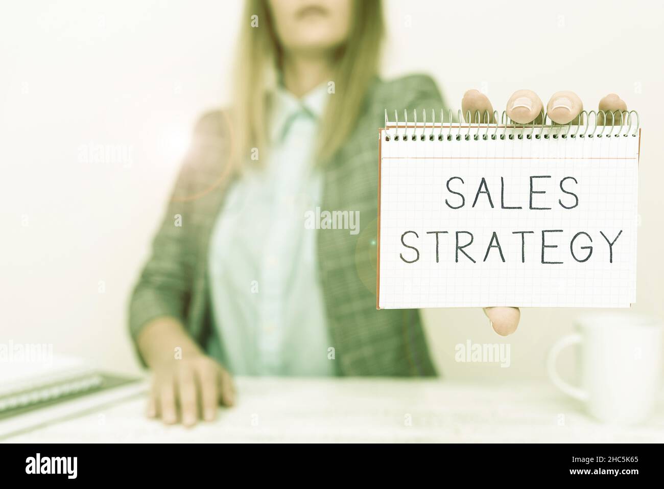 Text sign showing Sales Strategy. Business approach Plan for reaching ...