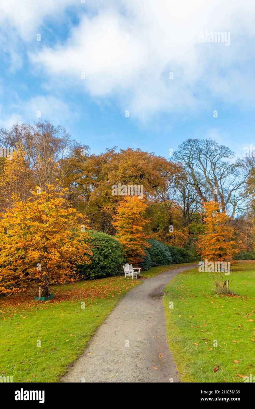 beautiful autumn trees with a path winding through scenic park land ...