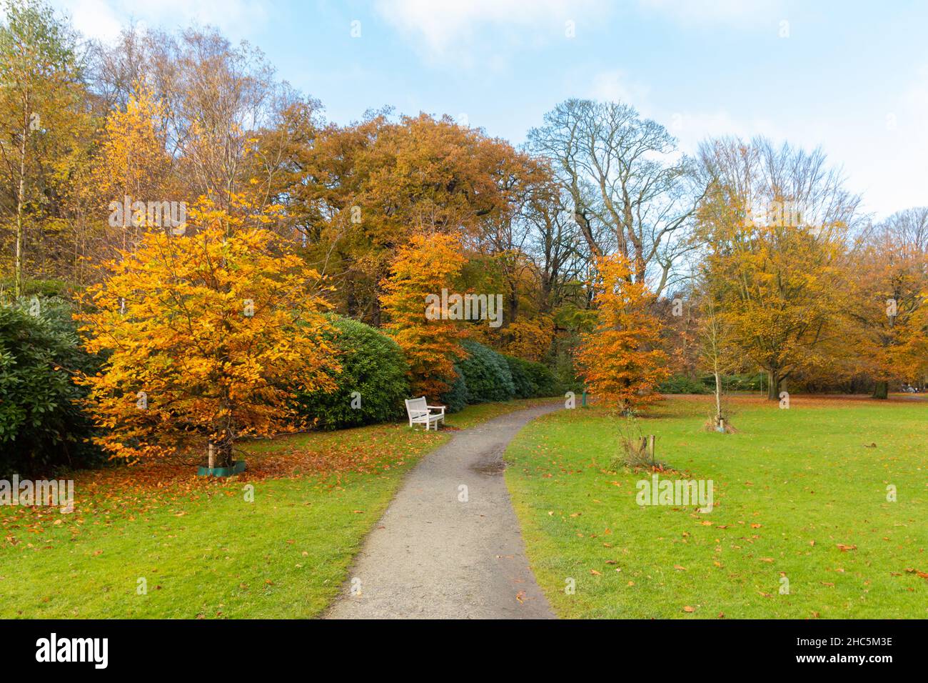 beautiful autumn trees with a path winding through scenic park land ...