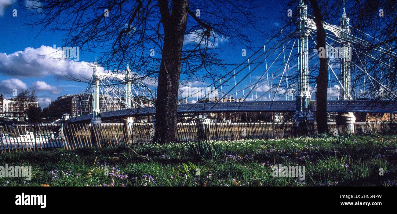 Bright panoramic image of Albert Bridge, Battersea, London, England ...