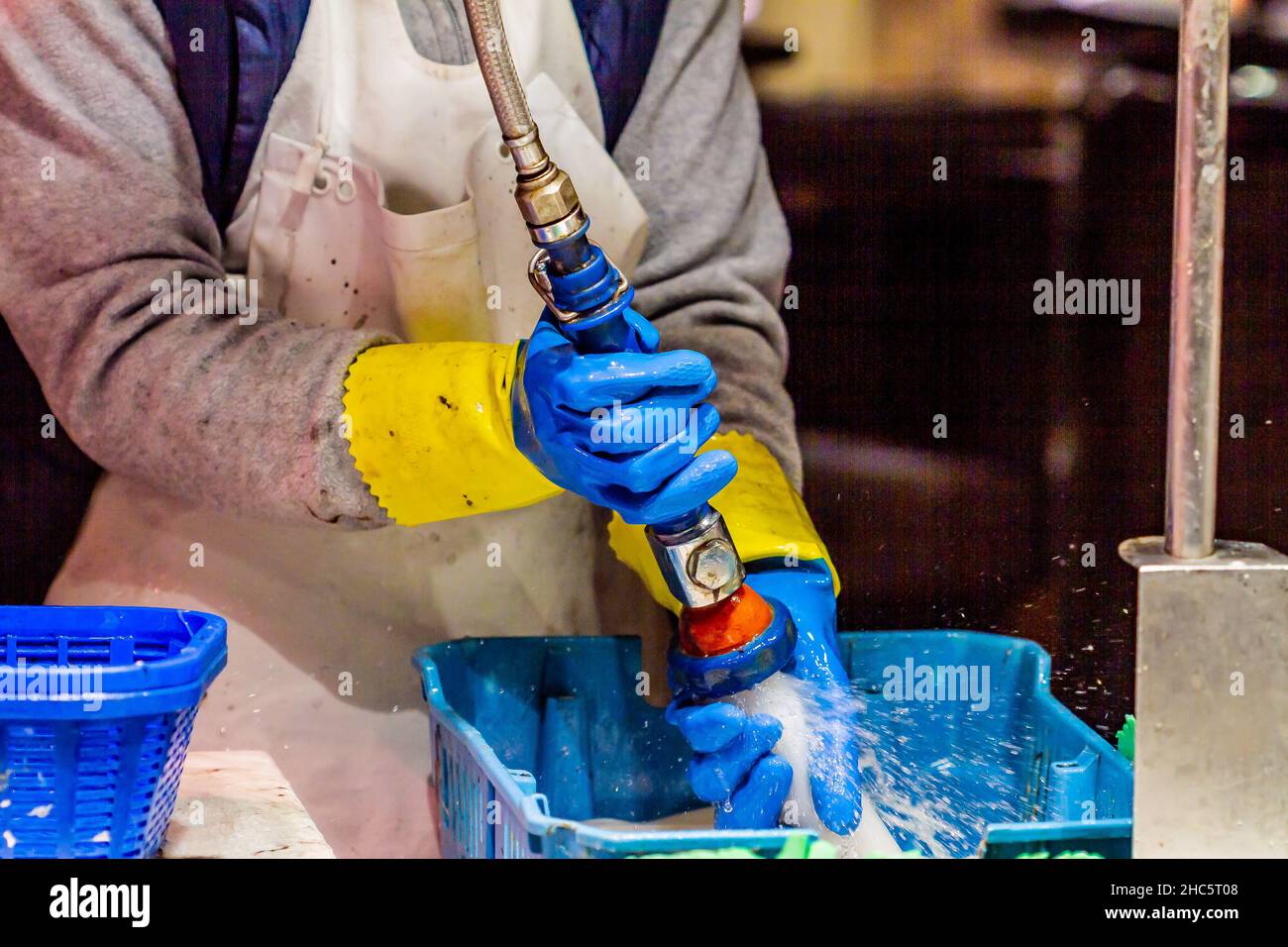 Woman cleaning squid with pressure hose with blurred background Stock ...