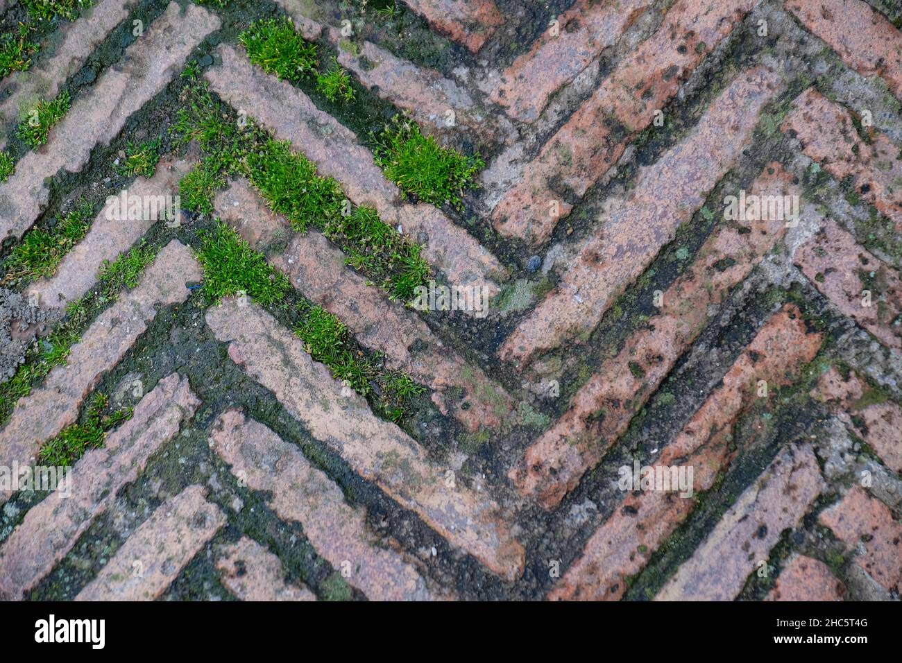 Top view of a textured brick footpath with grass on the streets Stock ...