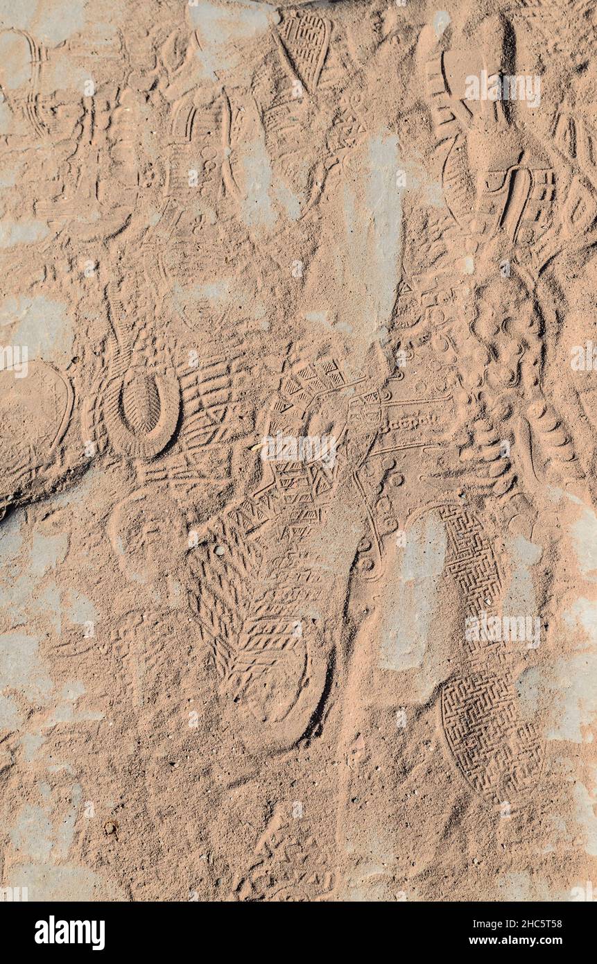 Camel footprint in sand hi-res stock photography and images - Alamy