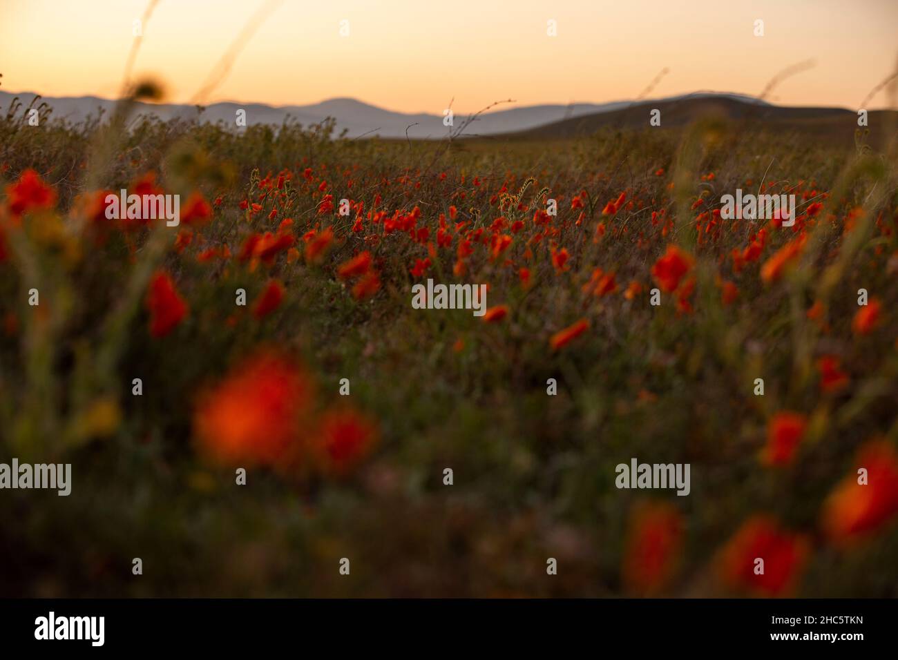 Lancaster california hi-res stock photography and images - Alamy