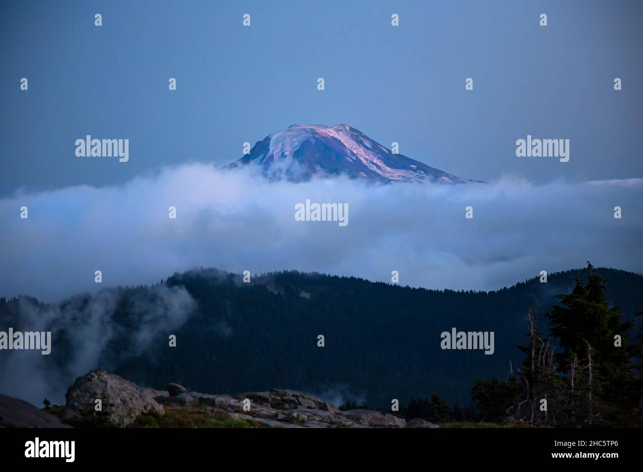 WA19921-00...WASHINGTON - Mount Adams showing an alpine glow after the ...