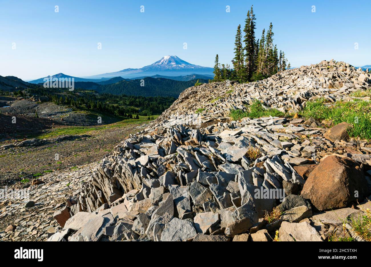 WA19931-00...WASHINGTON - Shattered rock on a ridge below the Goat ...