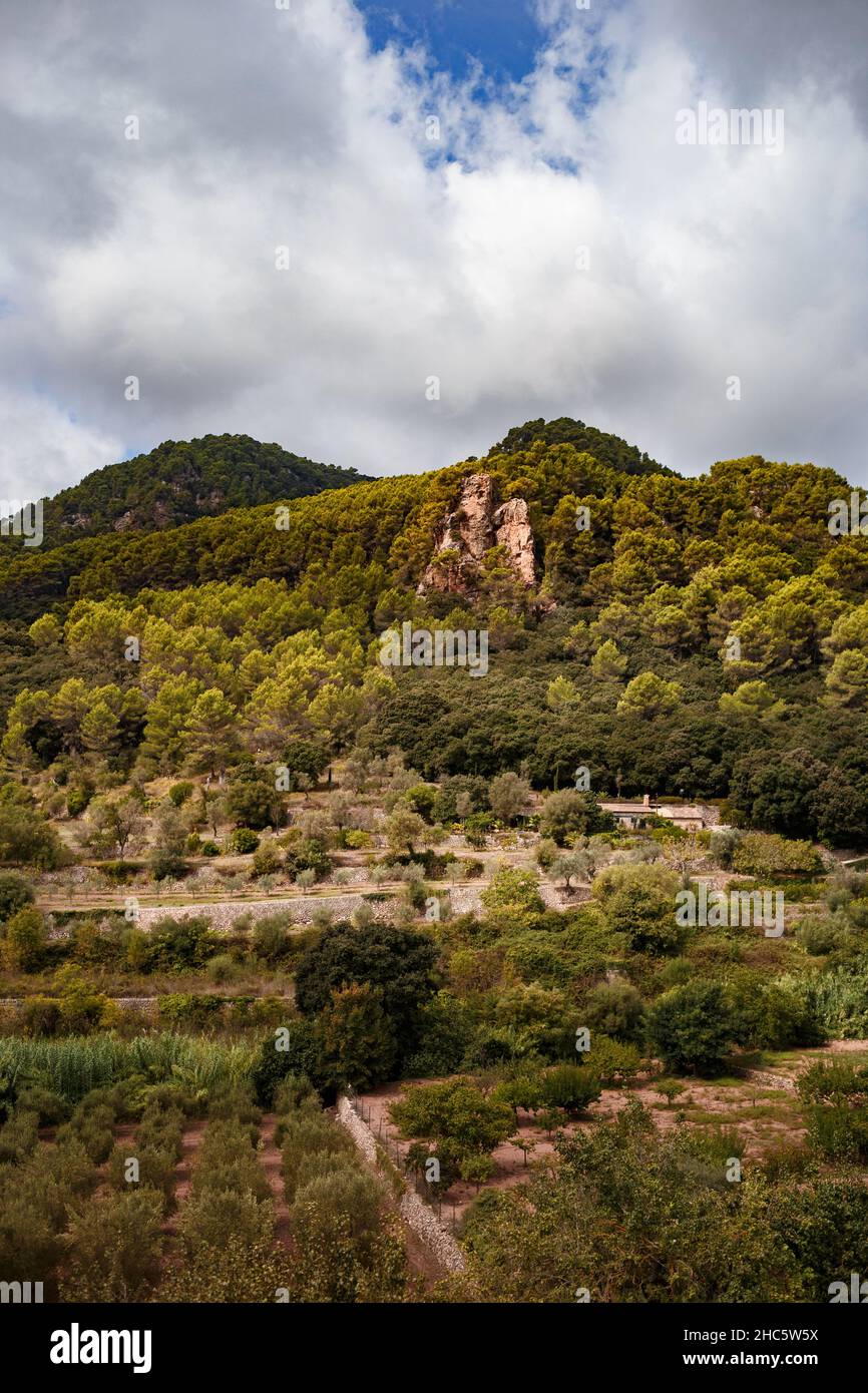 Vertical shot of a natural place with old buildings and a green ...