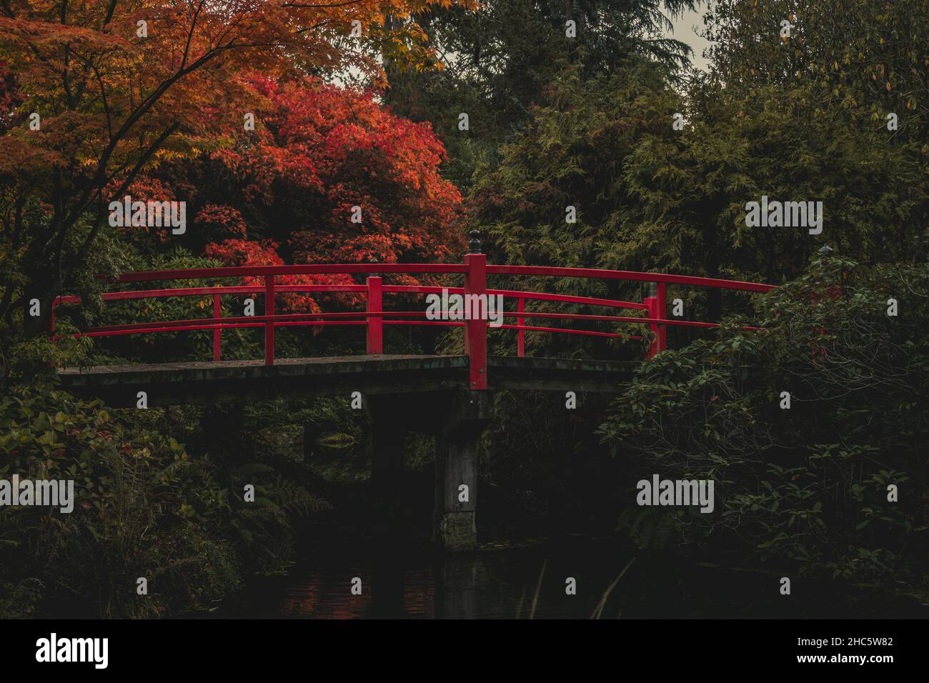 Bridge with red railings surrounded by dense trees Stock Photo - Alamy