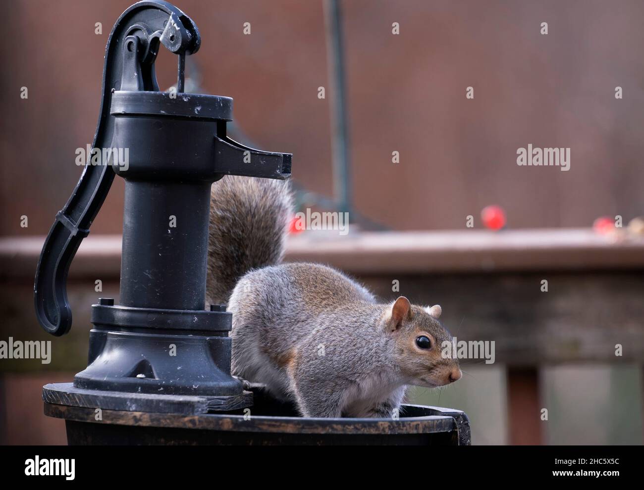Garden water pump hi-res stock photography and images - Alamy