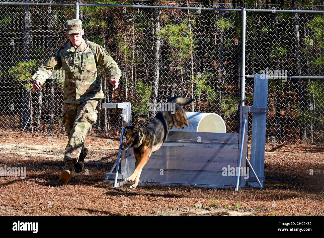 905th military working dog detachment hi-res stock photography and ...