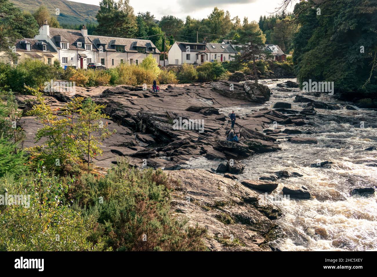 Running river with greenery hi-res stock photography and images - Alamy